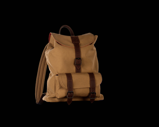 Products - Splitting Image Taxidermy